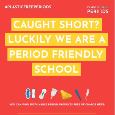 Resources - City to Sea - Plastic-Free periods
