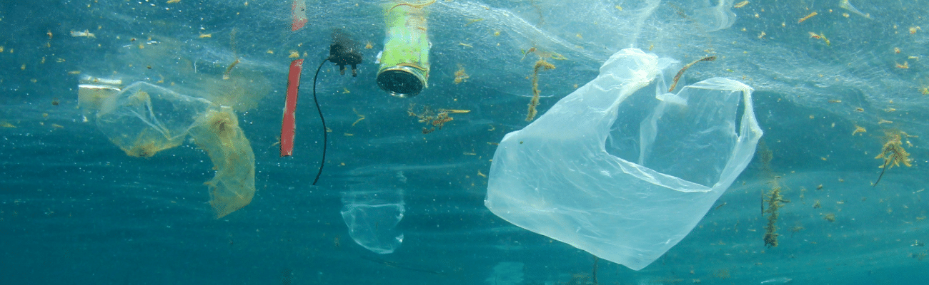 Single-Use Plastic Ban - City to Sea - A Drop in a Polluted Ocean